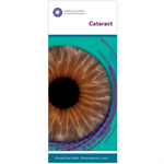 Patient Education Information for Ophthalmology Practices - American ...