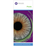 Oculoplastics/Orbit - American Academy of Ophthalmology