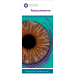 Patient Education Information for Ophthalmology Practices - American ...